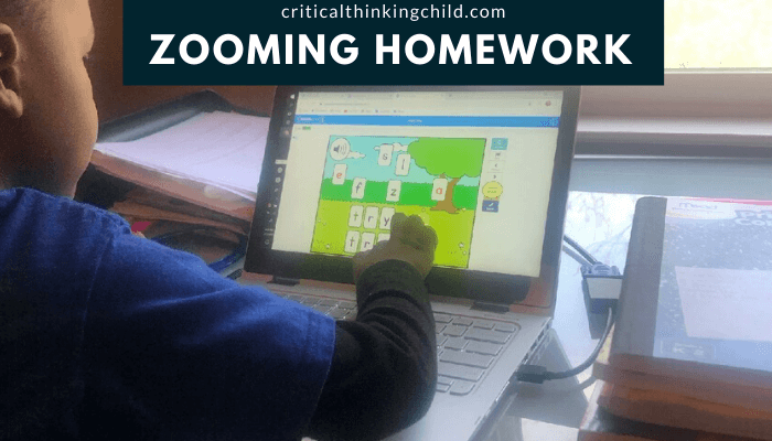 Tips for Parents on Using Zoom - The Critical Thinking Child